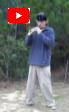 Ultimate Guide to the Flutophone